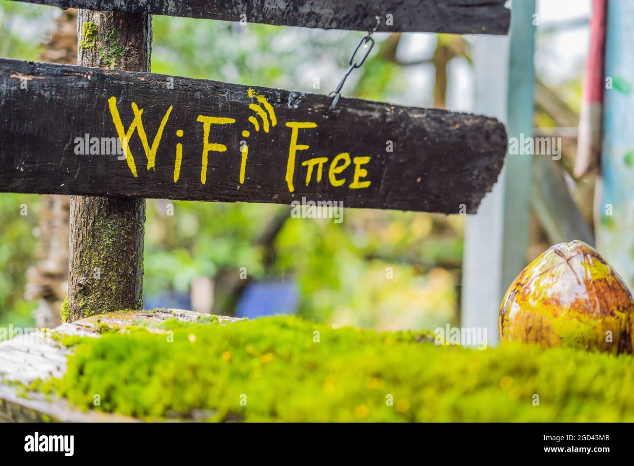 Free Wi-Fi in nature in the forest Stock Photo - Alamy