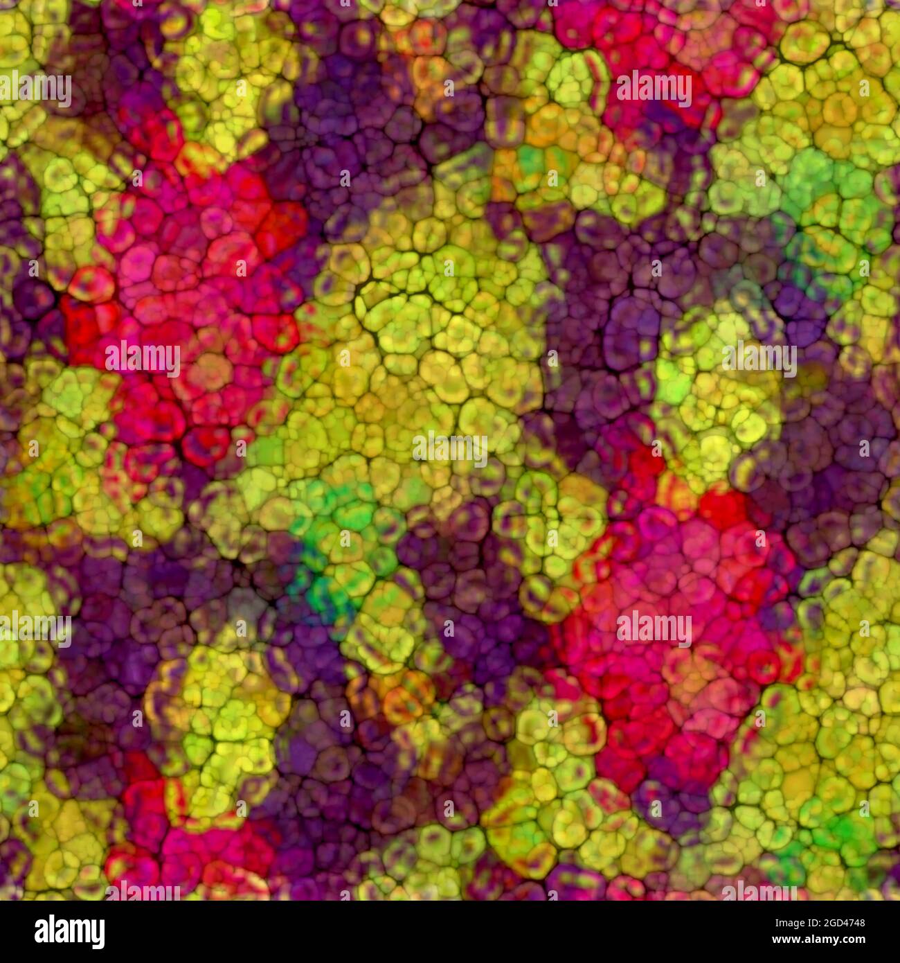 Lichen, Mushroom, Fungus family of different colors as organic seamless ...