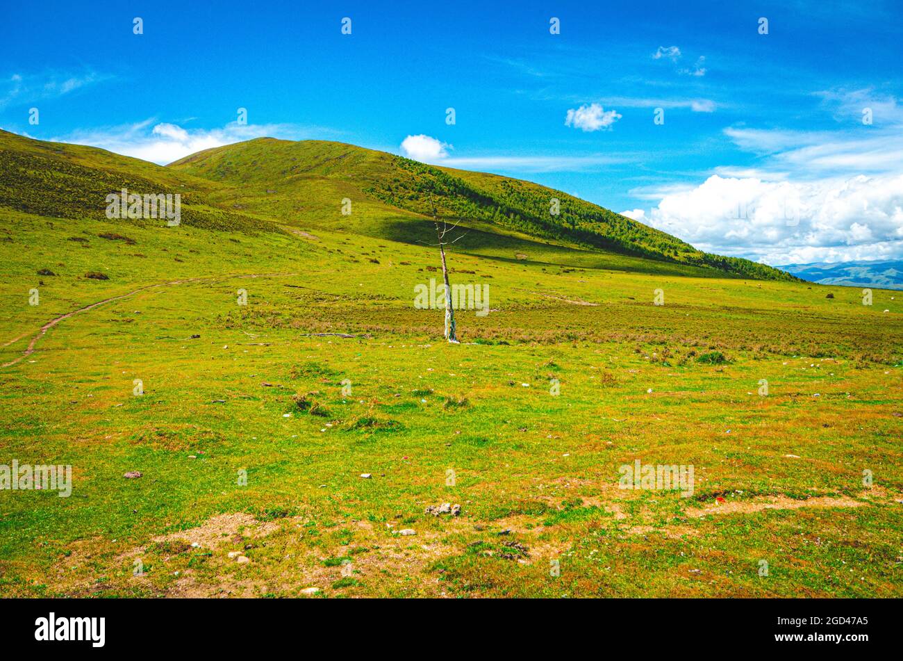 Green highland with deep blue sky Stock Photo - Alamy