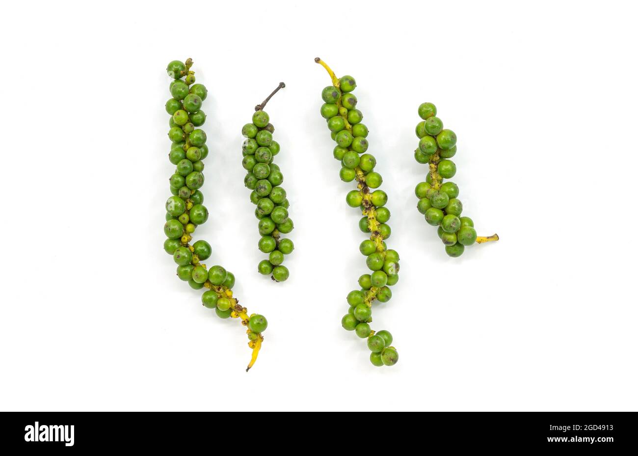 Isolated flat image of organic fresh peppercorns on white background ...