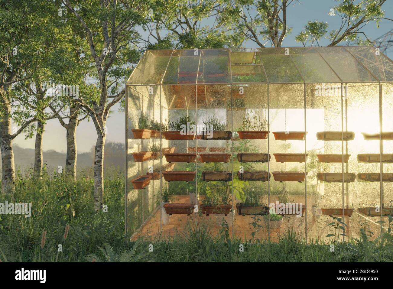 3d rendering of old greenhouse at overgrown grass field Stock Photo - Alamy