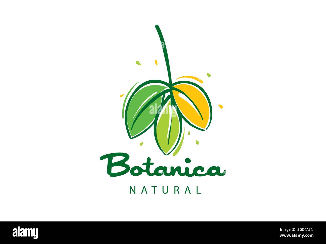 Logo with the inscription Botanica and painted leaves Stock Vector ...