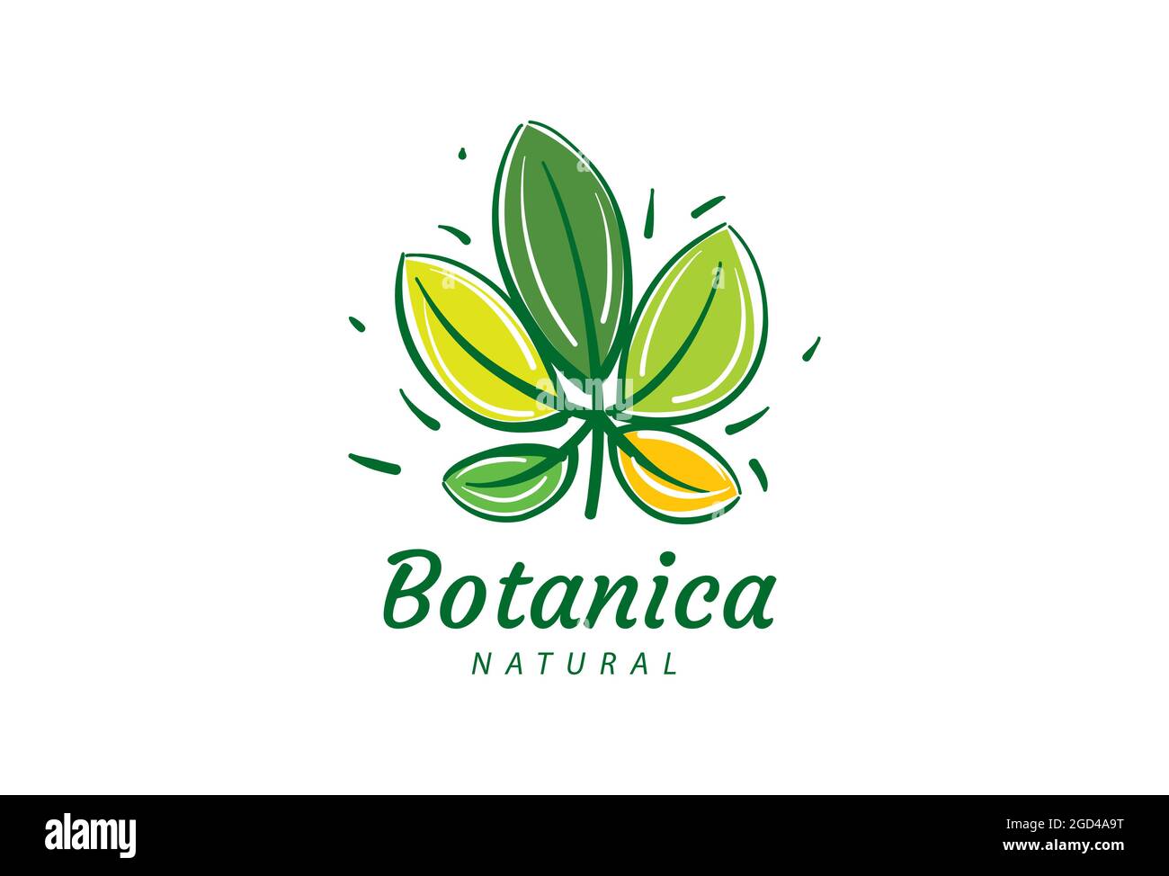 Logo with the inscription Botanica and painted leaves Stock Vector ...