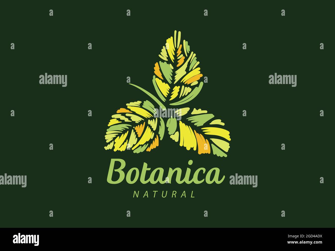 Logo with the inscription Botanica and painted leaves Stock Vector ...