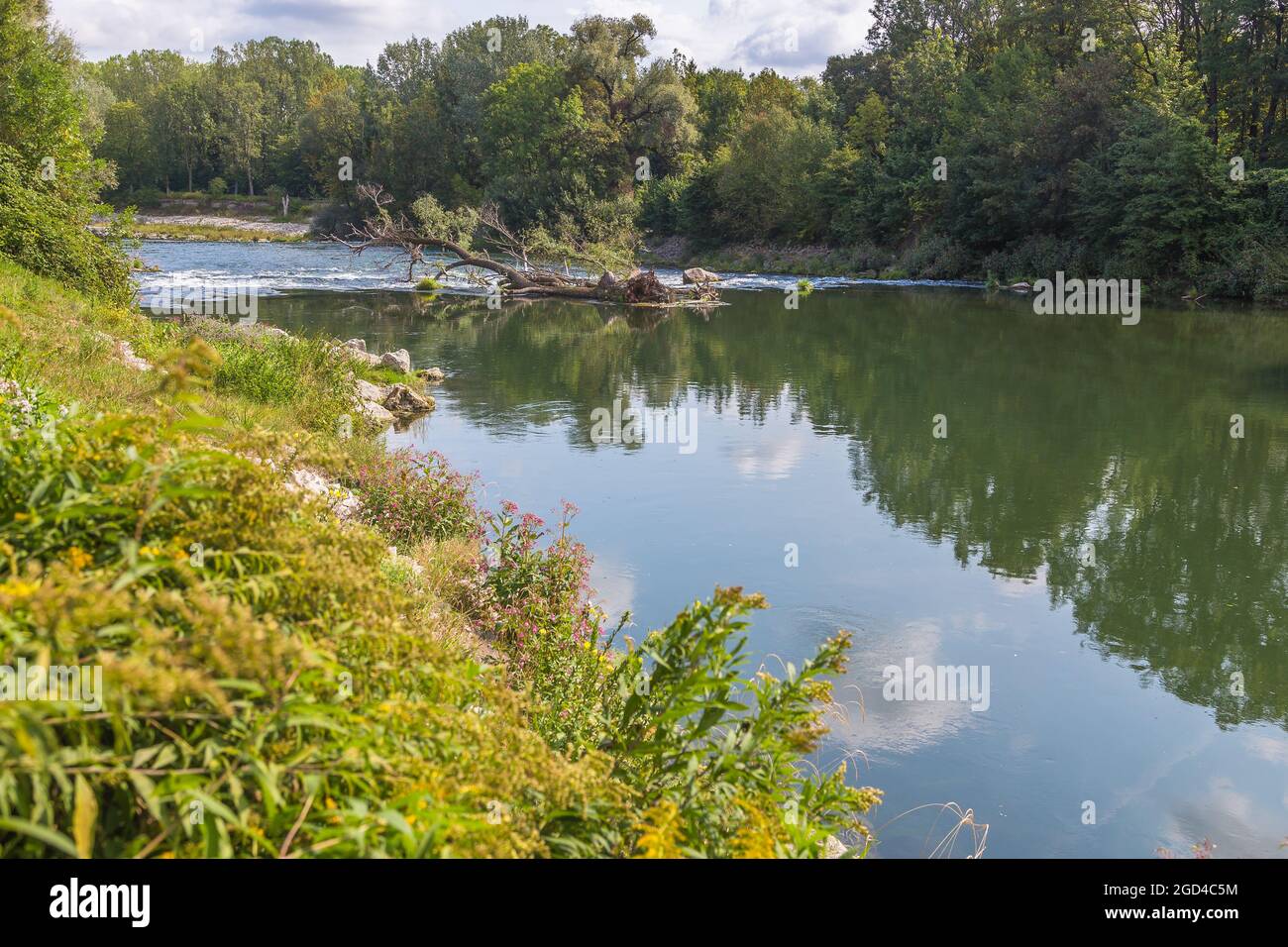 Renaturalization of the isar river hi-res stock photography and images ...