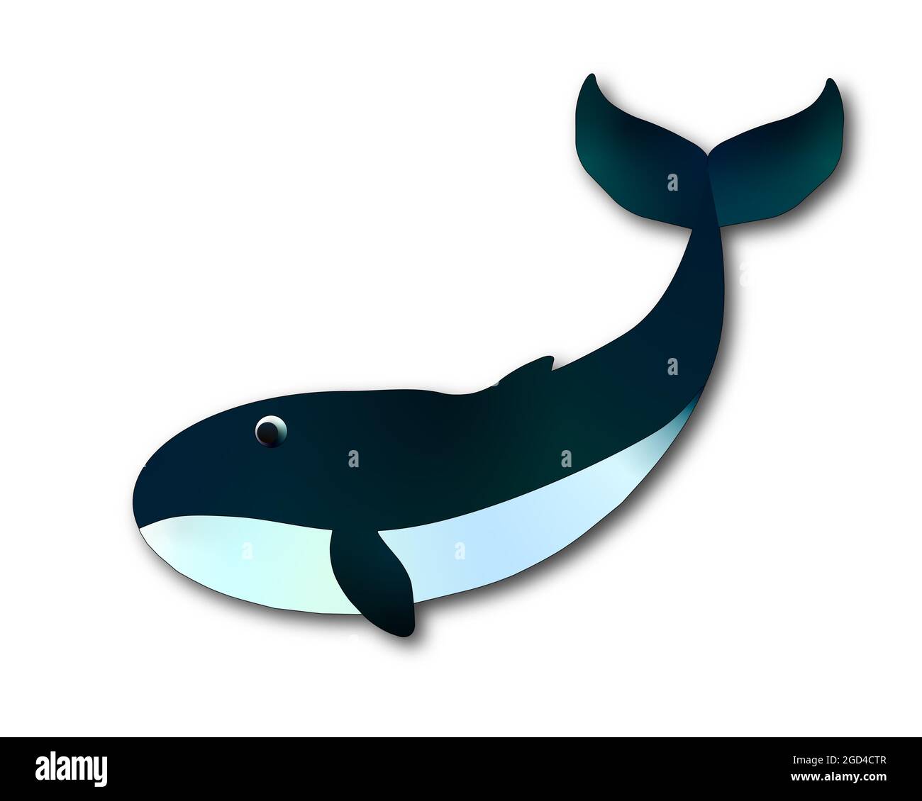 Whale cartoon hi-res stock photography and images - Alamy