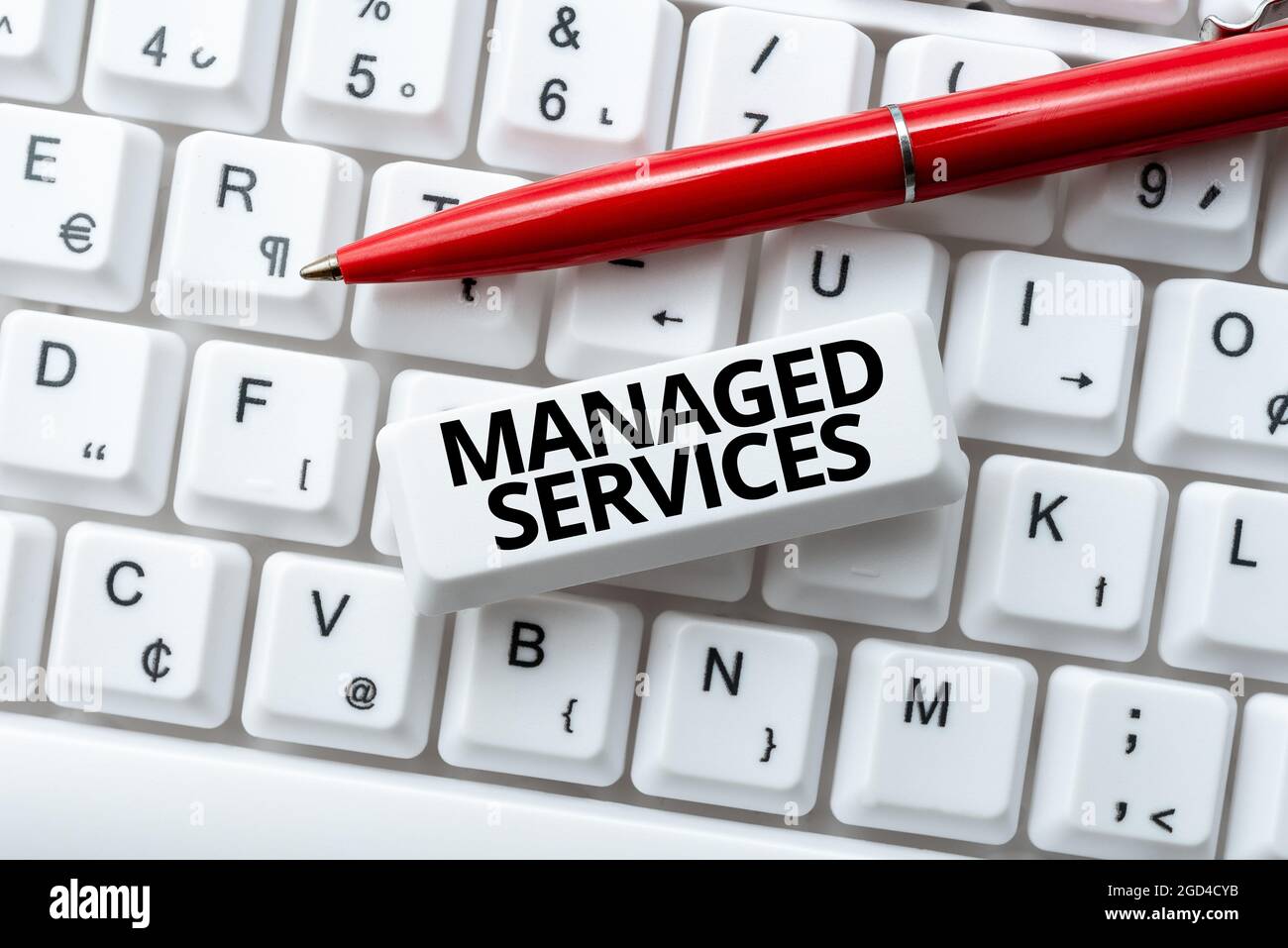 Conceptual display Managed Services. Business overview company that ... Conceptual display Managed Services. Business overview company that ...
