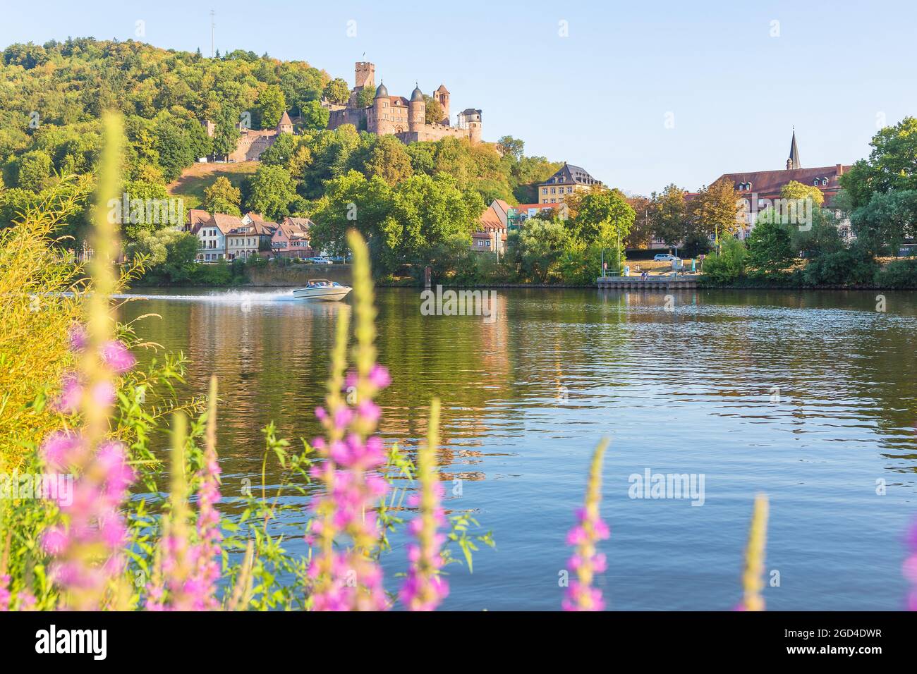 Wertheim Baden Wuerttemberg Wertheim Castle High Resolution Stock ...