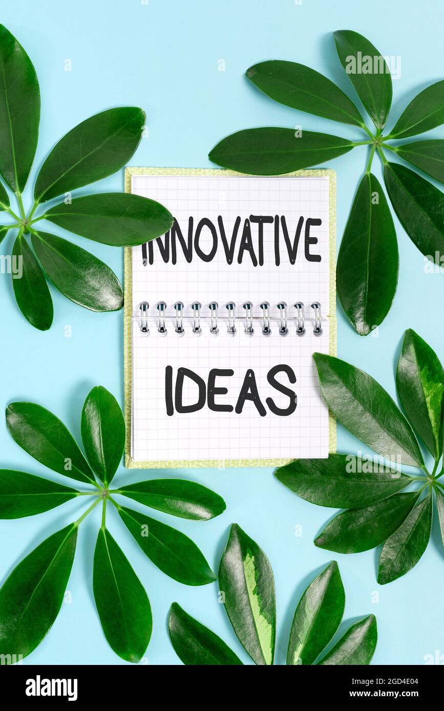 Text showing inspiration Innovative Ideas. Conceptual photo application ...