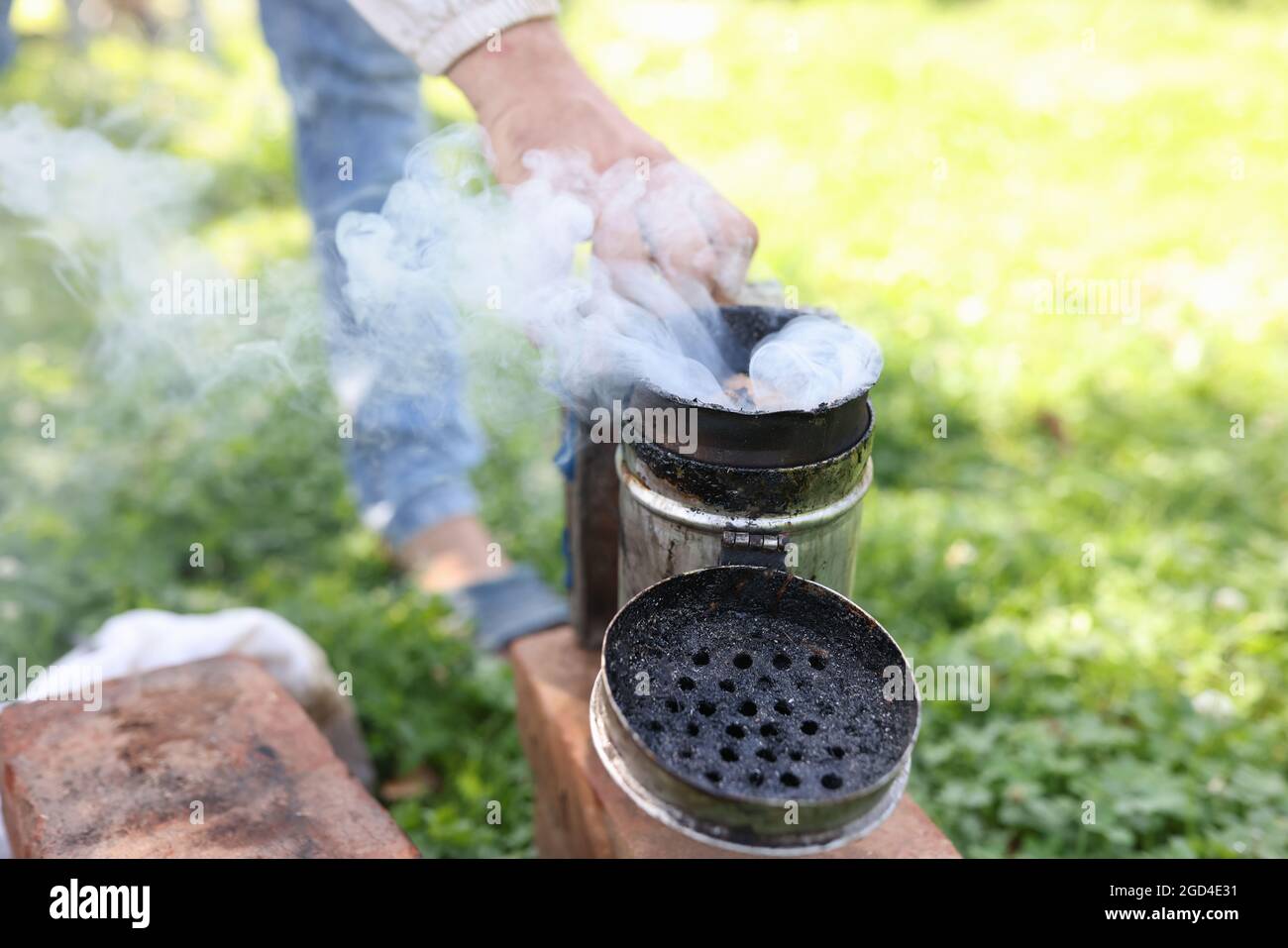 Beekeeper smoking honey bees with bee smoker on apiary closeup Stock ...