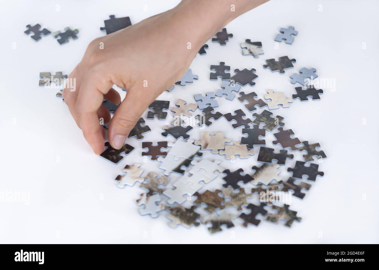 Hand arranging the puzzle pieces on a white surface Stock Photo - Alamy