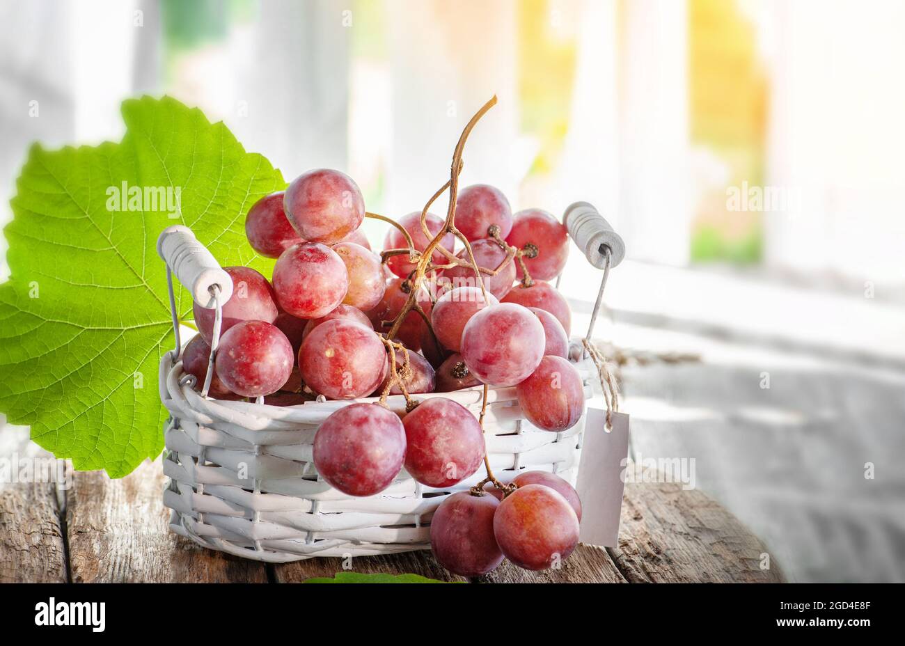 Garden fruit processing hi-res stock photography and images - Alamy