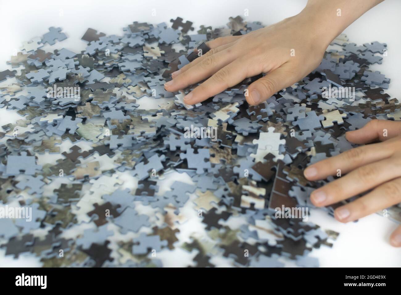 Hands on puzzle pieces on a white surface Stock Photo - Alamy