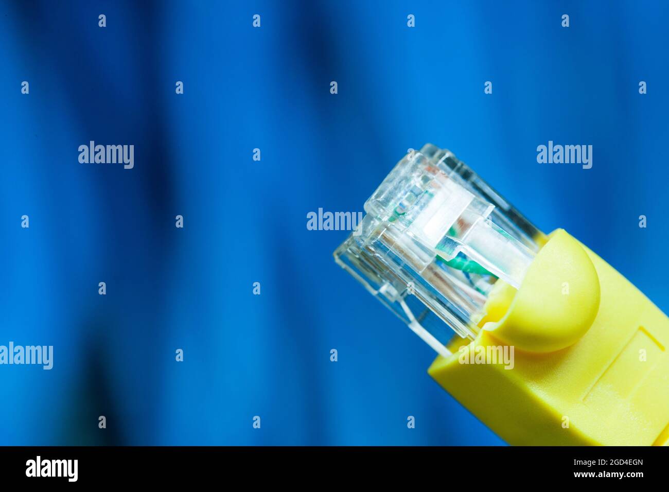 Network Connection Plug Stock Photo - Alamy