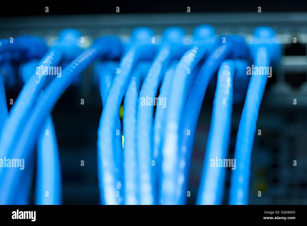 Network server connection Stock Photo - Alamy