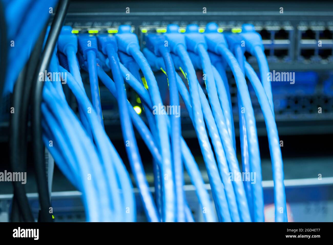 Network server connection Stock Photo - Alamy