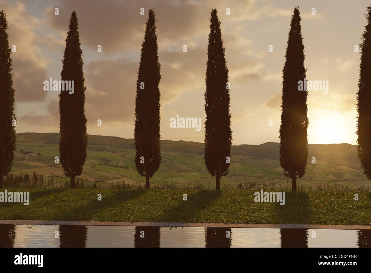 3d rendering of outdoor infinity pool in front of cypress trees and ...