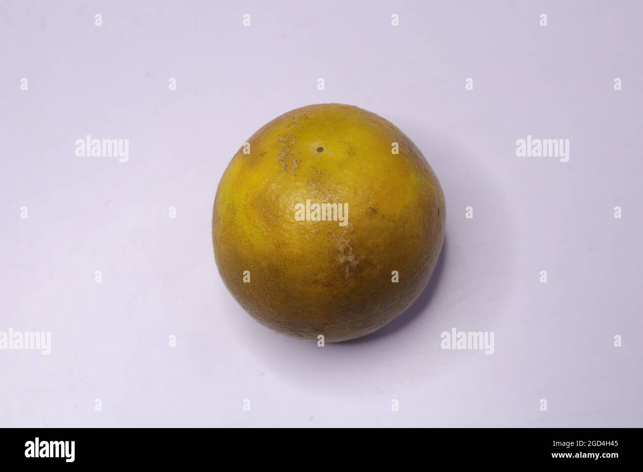 sweet lemon (Mosambi) isolated on white background Stock Photo - Alamy