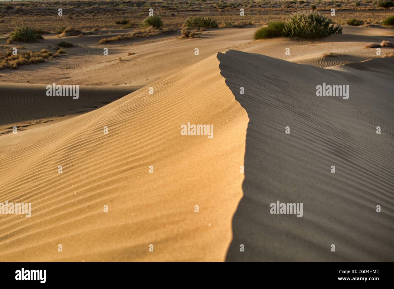 Vegetated berm hi-res stock photography and images - Alamy