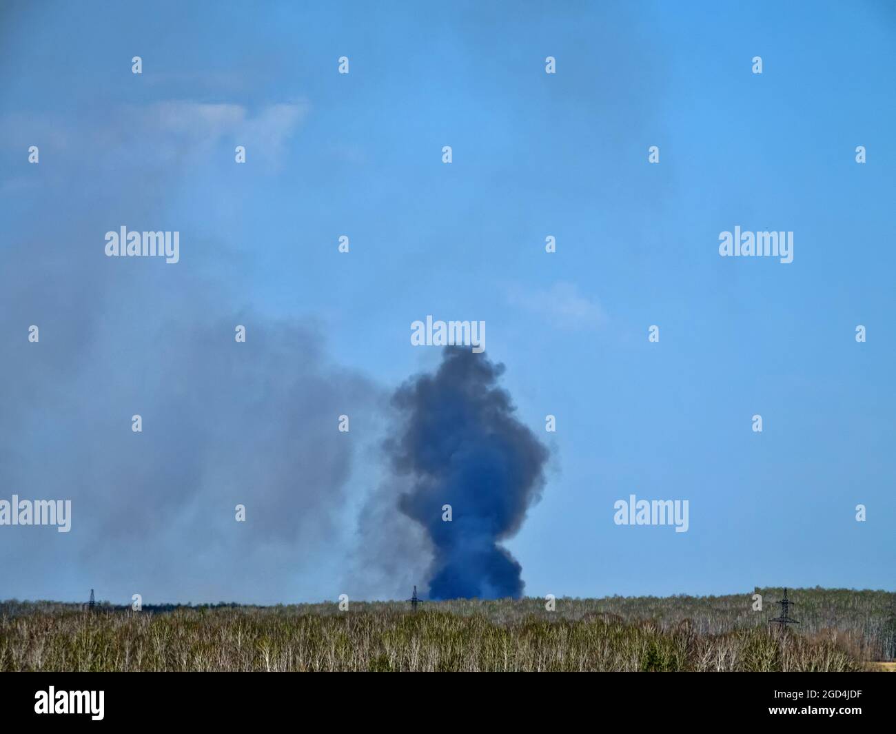 The forest fire is starting. A thermal column of smoke rises into the ...
