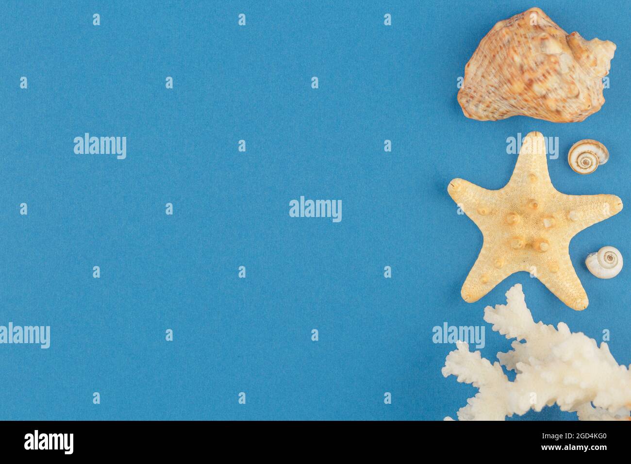 On seashore blue color hi-res stock photography and images - Alamy