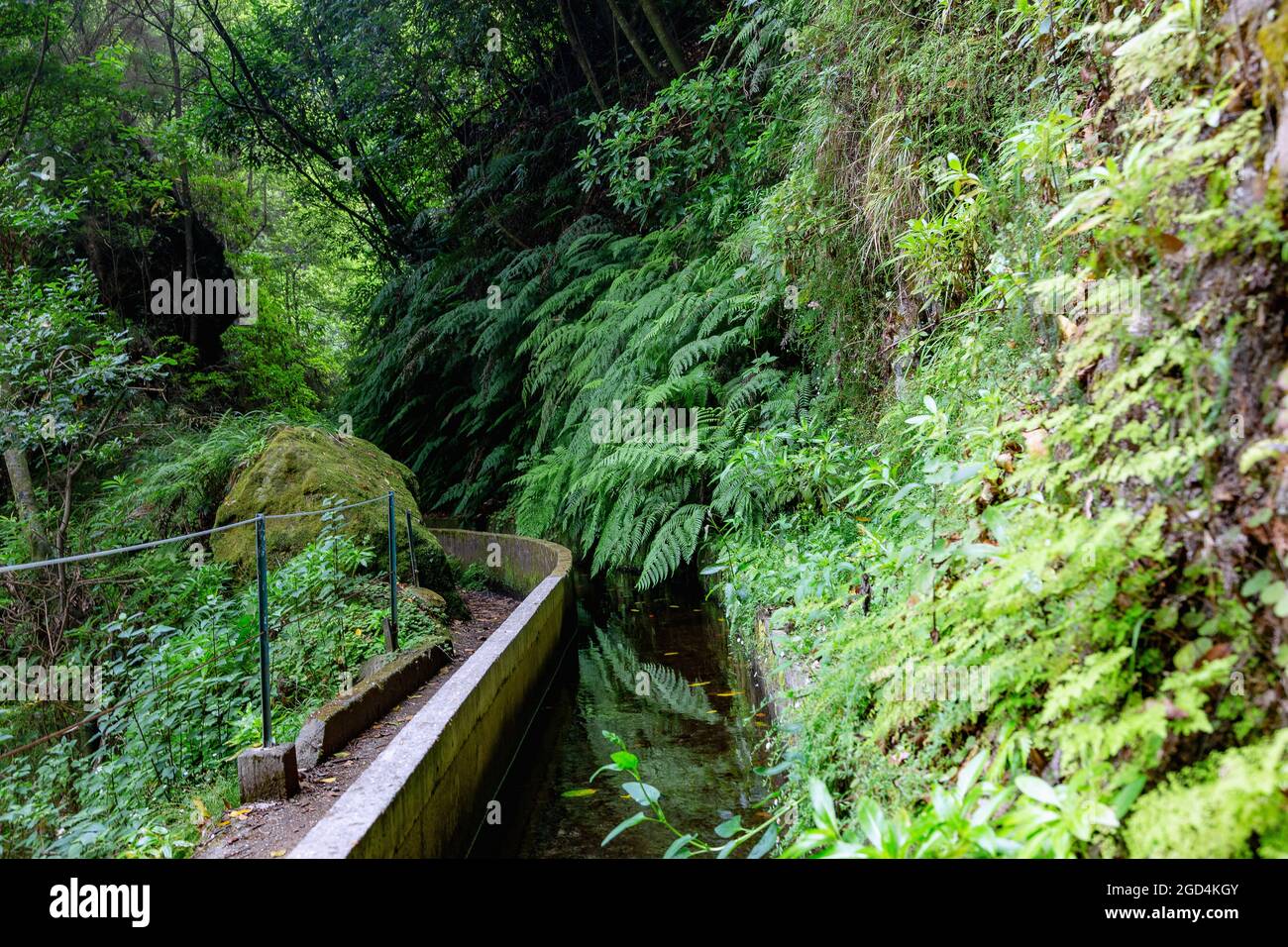Levada faja rodrigues hi-res stock photography and images - Alamy