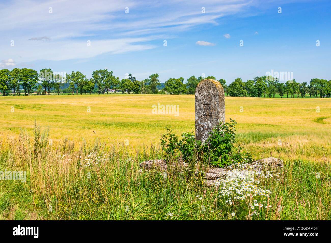 Old milestone mark at a cornfield in a rural landscape Stock Photo - Alamy