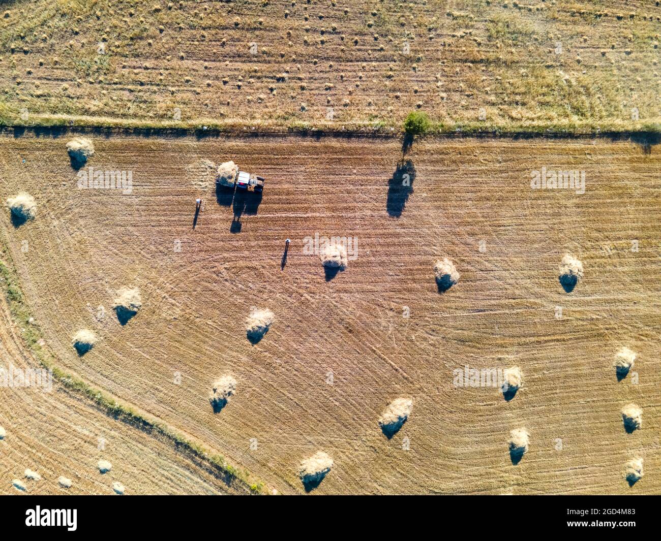 Aerial view of a field with haystacks Stock Photo - Alamy