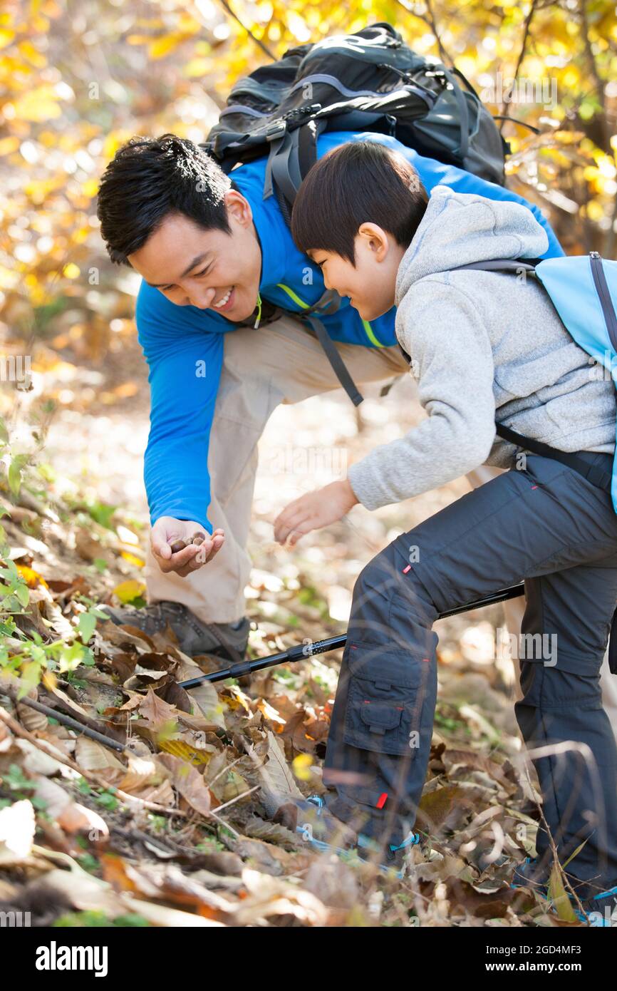 Cheerful father and son hiking in woods Stock Photo - Alamy