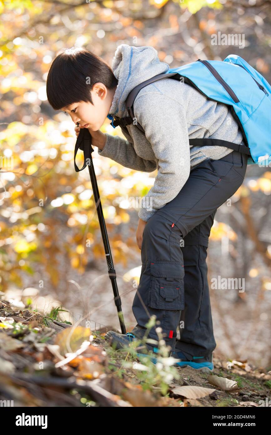 Curious boy exploring nature Stock Photo - Alamy Curious boy exploring nature Stock Photo - Alamy