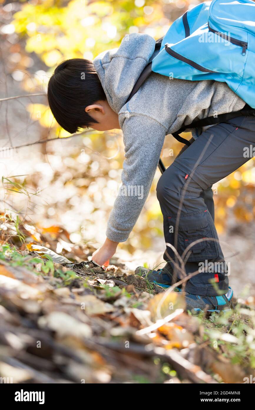Curious boy exploring nature Stock Photo - Alamy Curious boy exploring nature Stock Photo - Alamy