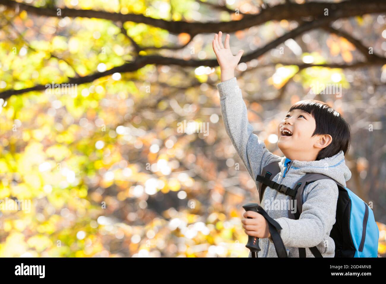 Happy boy hiking Stock Photo - Alamy