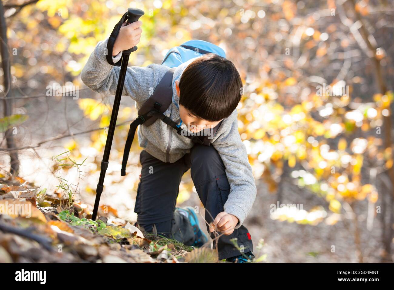 Curious boy exploring nature Stock Photo - Alamy Curious boy exploring nature Stock Photo - Alamy