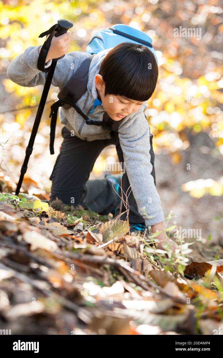 Curious boy exploring nature Stock Photo - Alamy Curious boy exploring nature Stock Photo - Alamy