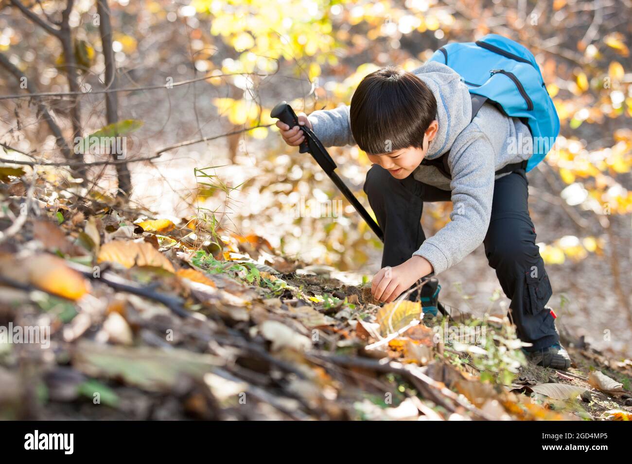 Curious boy exploring nature Stock Photo - Alamy Curious boy exploring nature Stock Photo - Alamy