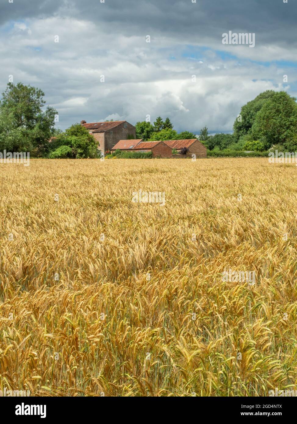 Red brick mill hi-res stock photography and images - Alamy