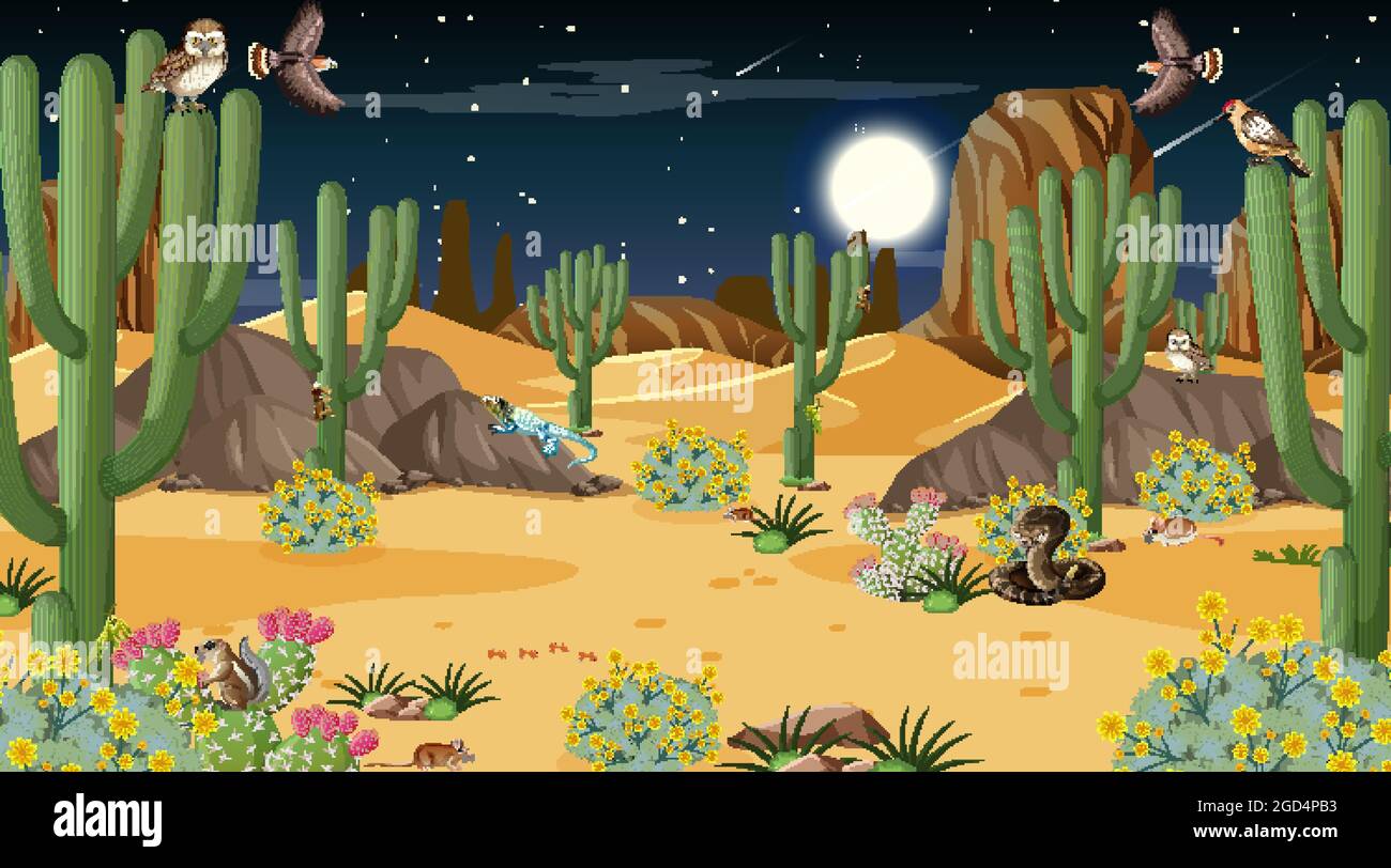 Desert forest landscape at night scene with desert animals and plants illustration Stock Vector ...