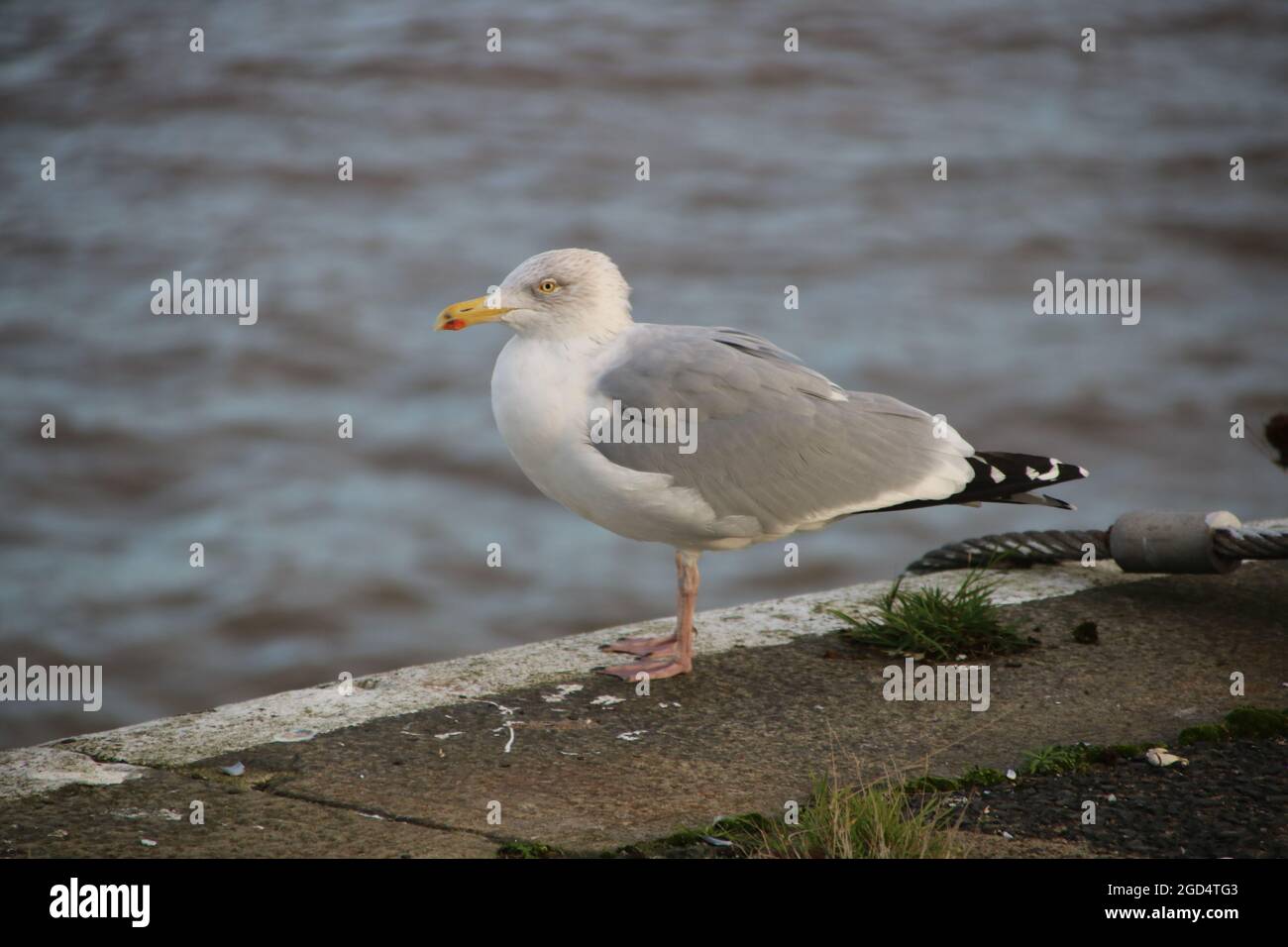 Chilling by the river hi-res stock photography and images - Alamy