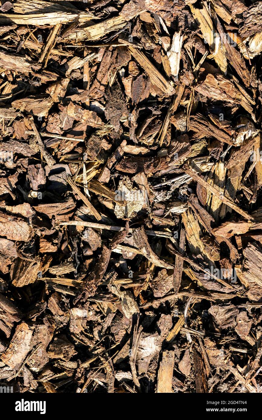 Waste ground weeds hi-res stock photography and images - Alamy