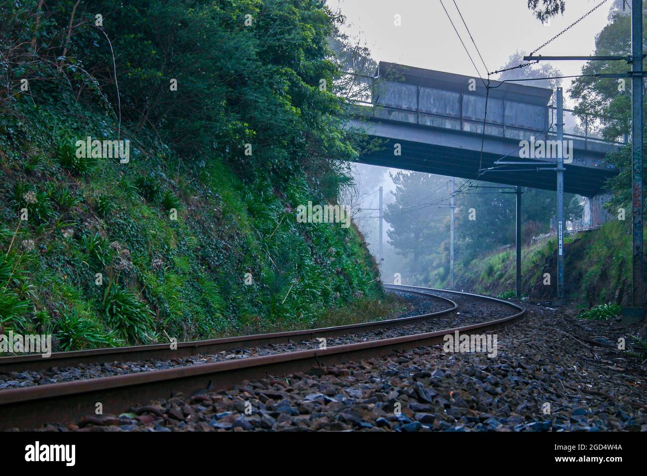 Lonely train tracks disappearing under a bridge and into a foggy ...