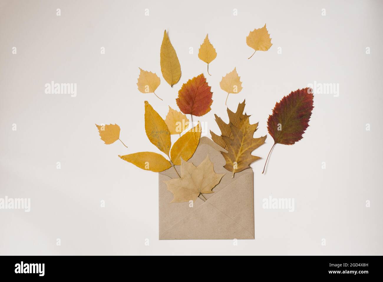 The concept of mail - dry fallen autumn leaves of trees with an ...