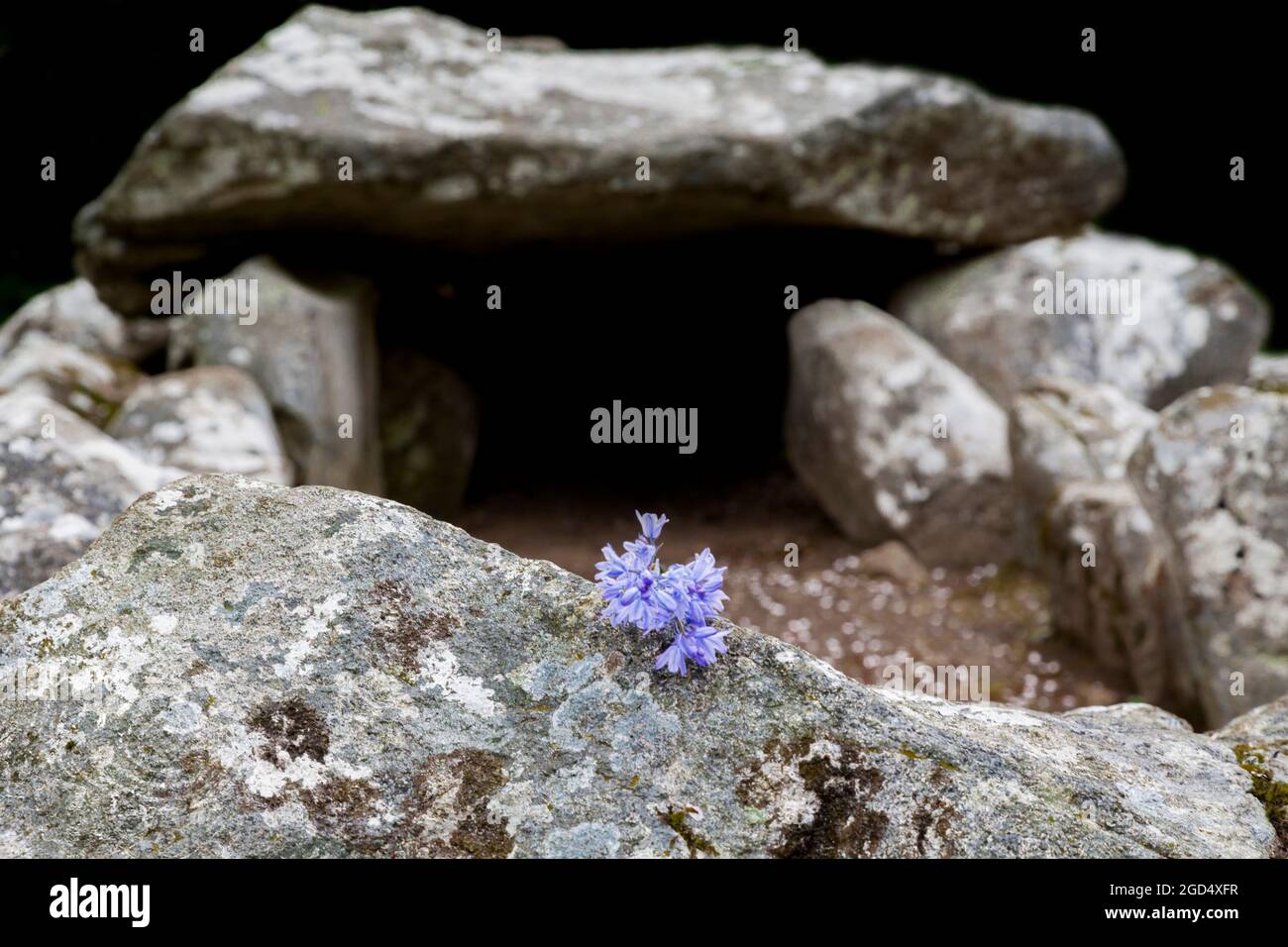 Proleek dolmen hi-res stock photography and images - Alamy