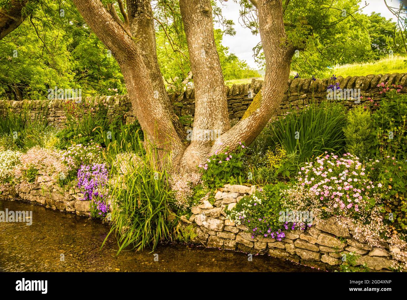 slow running brook Raymond Boswell Stock Photo - Alamy