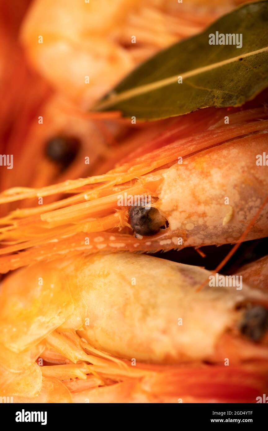 Atlantic shrimp cooked with allspice and bay leaf close-up, surface ...