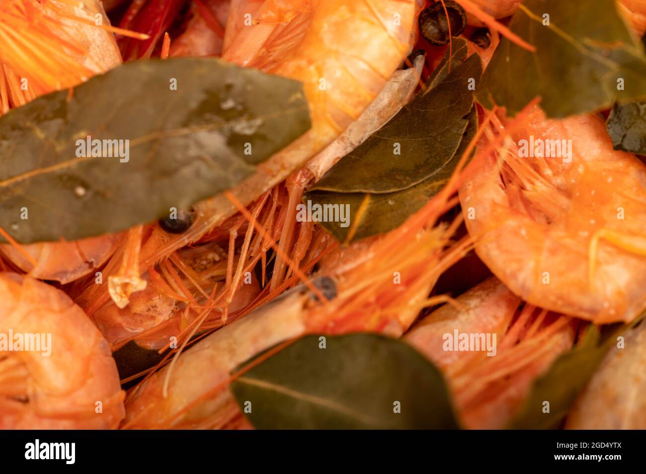 Atlantic shrimp cooked with allspice and bay leaf close-up, surface ...