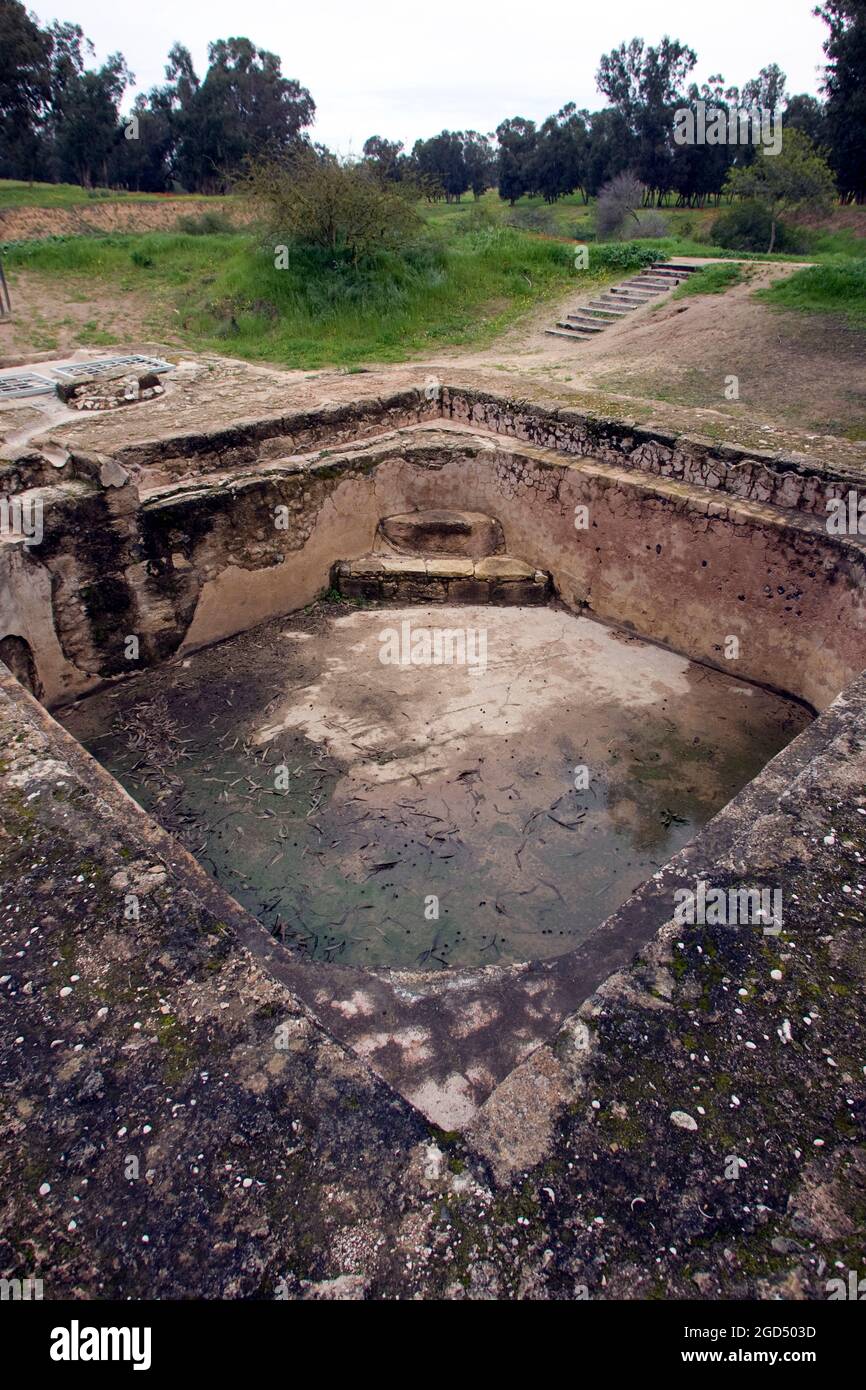 Beeri Forest is a National forest and nature Reserve in the western ...