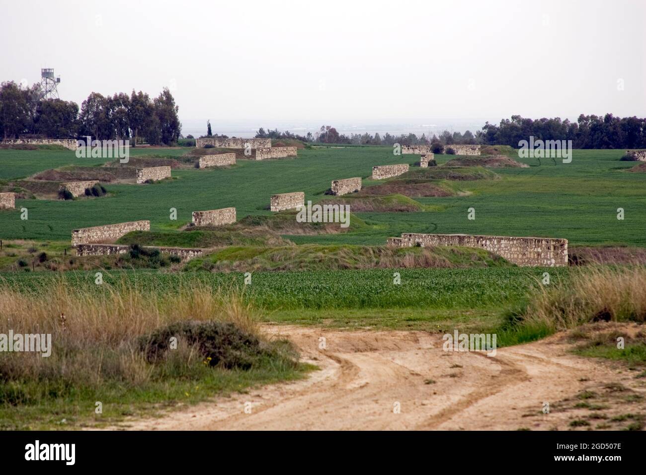 Beeri Forest is a National forest and nature Reserve in the western ...