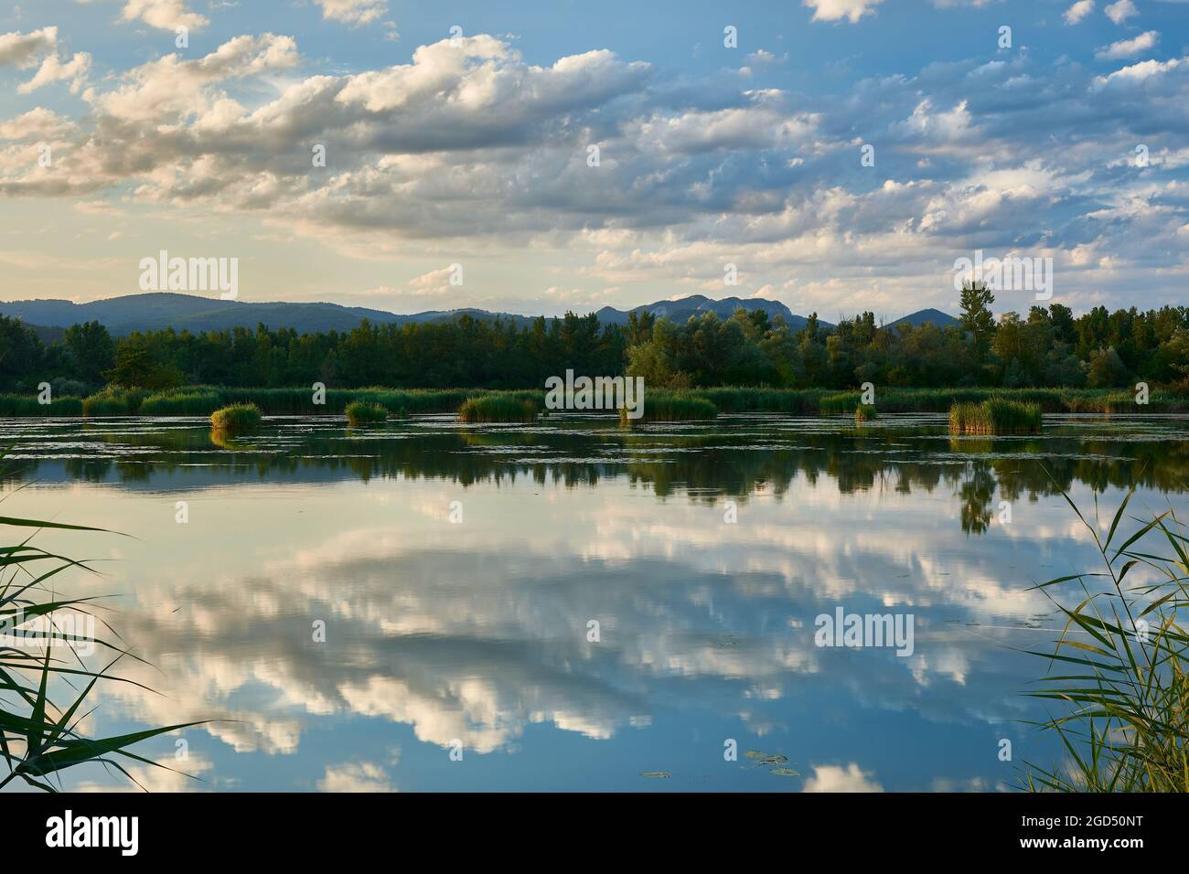 Summer landscape, lake with reflection of clouds on the calm water ...