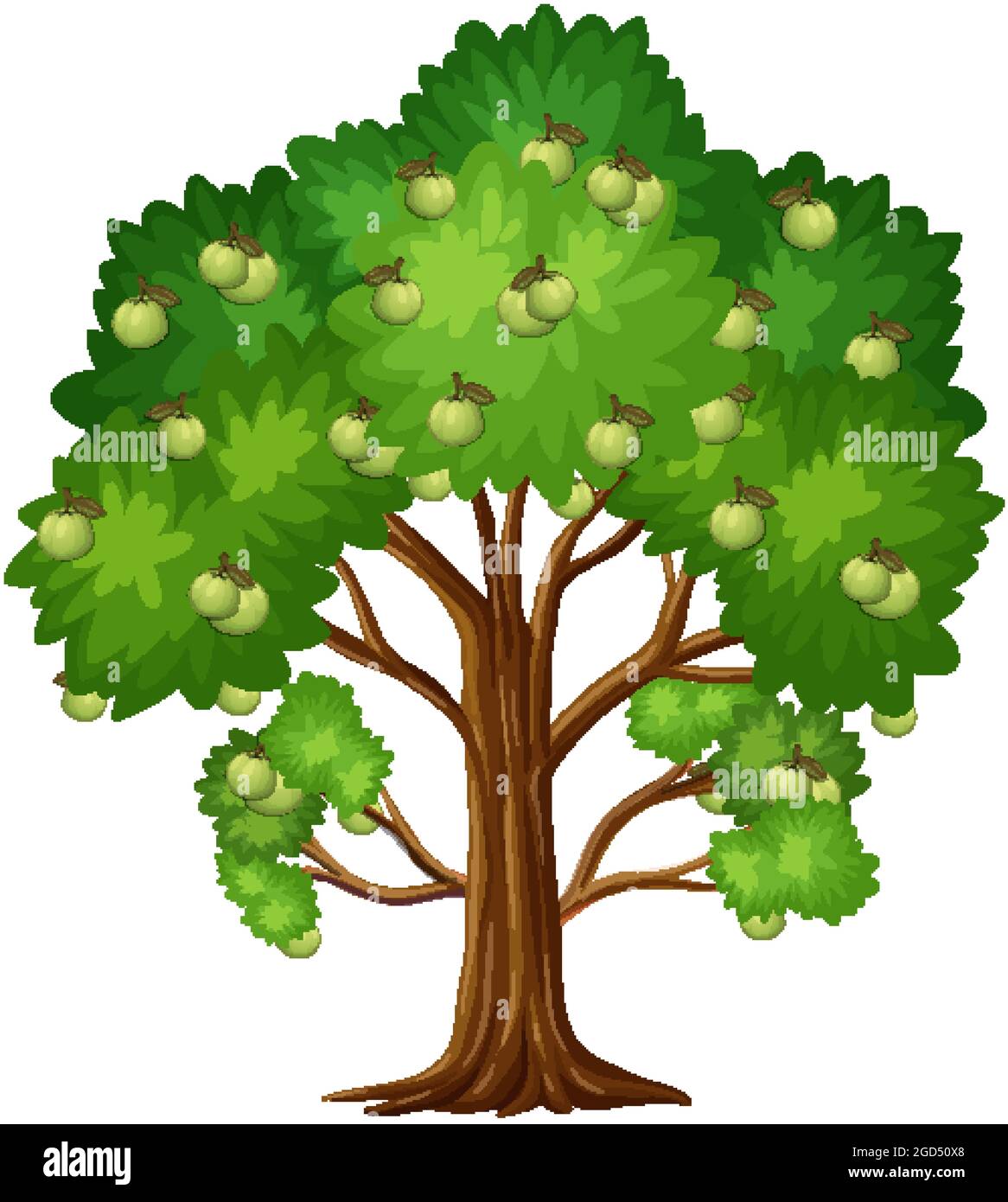 Guava fruit tree isolated on white background illustration Stock Vector ...