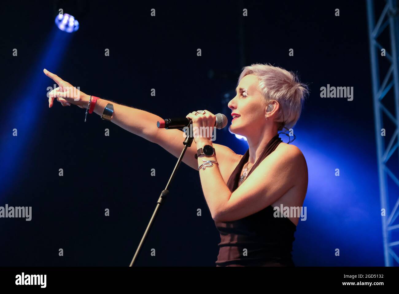Alison Wheeler of The South performing at Wickham Festival, Hampshire ...